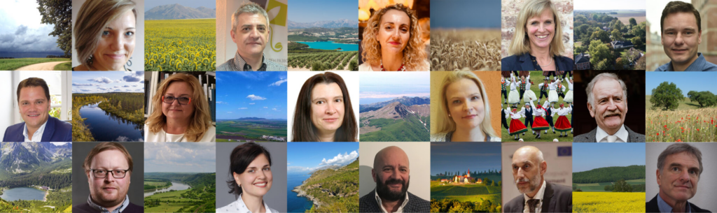 Organization - Elard